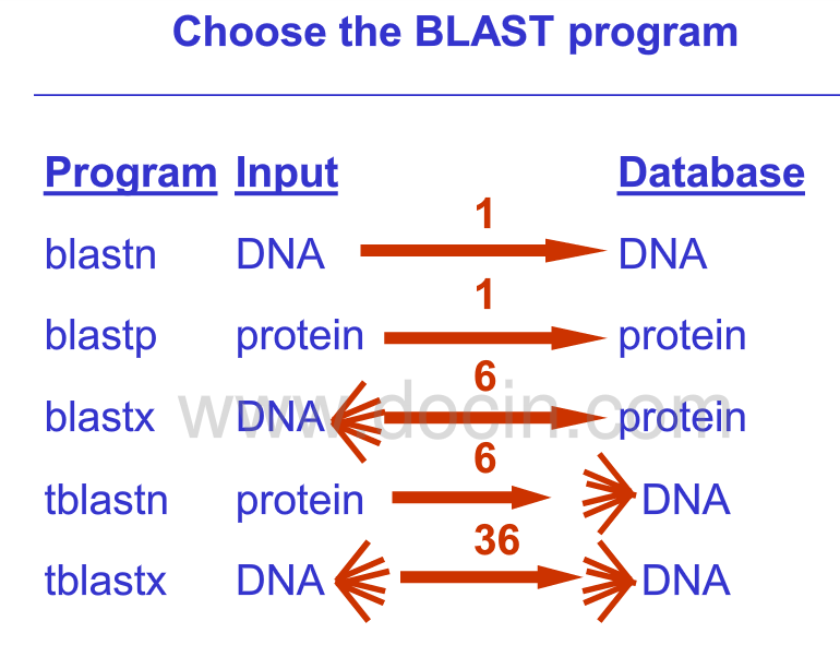 NCBI Blastp 是什么意思？ - 知乎