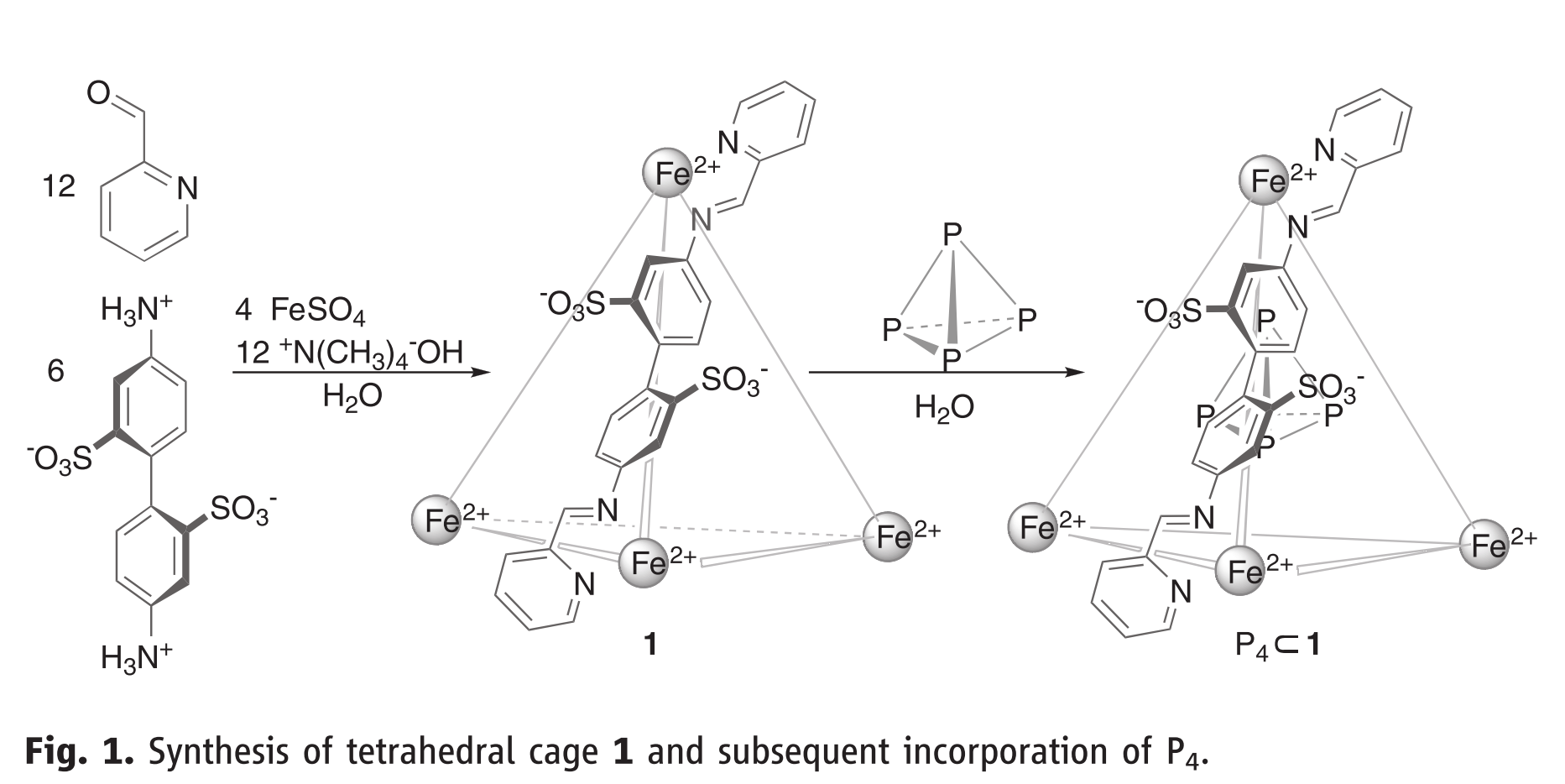Nitschke，他的美的多重亚组分自组装超分子 - 知乎