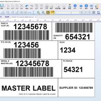 eLabel 的想法: 今天完成了AIAG B-10 Customer Master 合规标签的制作，标签内容很多，回头再添加excel数据 ...