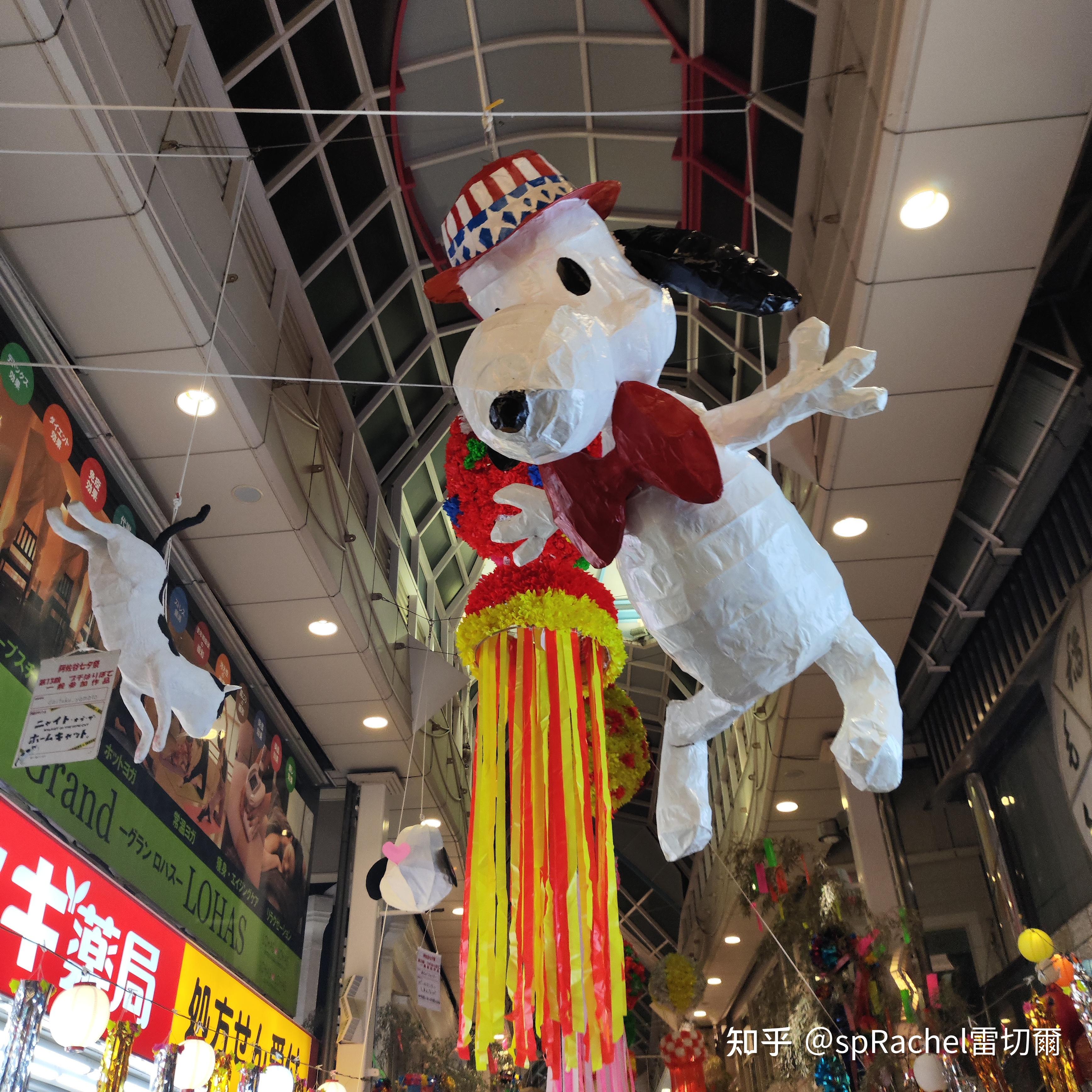 spRachel雷切爾 - 知乎