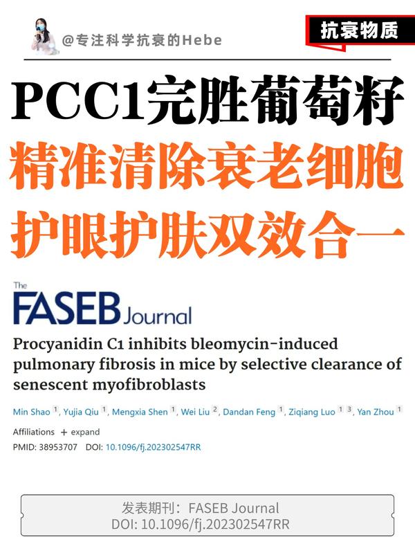 时光派Hebe 的想法: 【PCC1吊打葡萄籽精准清楚衰老细胞，护眼护肤双效合一】🟣最强天然衰老细胞清除剂PCC1「精准狙击」 中科院联手国际顶刊发现的PCC1 被称作「史上最强衰老细胞清除剂 ...