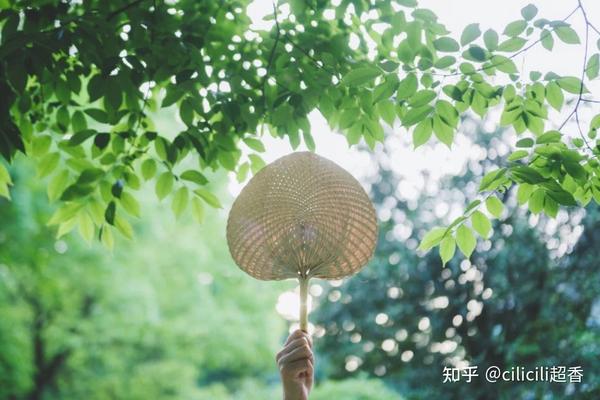 cilicili超香 - 知乎