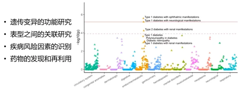 科研小凯 的想法: PheWAS教程1--定义流程应用 | PubMed检索“(PheWAS) AND (Mendelian randomization)”，仅有63篇文章，且多为一区 ...