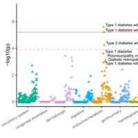 科研小凯 的想法: PheWAS教程1--定义流程应用 | PubMed检索“(PheWAS) AND (Mendelian ...