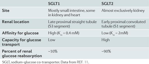 二型糖尿病治疗药物Empagliflozin——新型SGLT2抑制剂 - 知乎