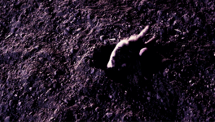 有人连上班也怕？| 21种奇怪恐惧症 - 知乎