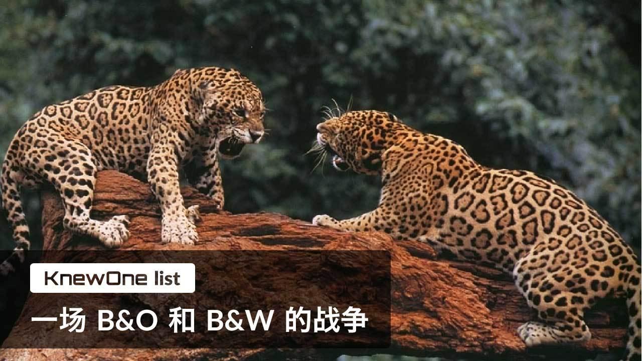 一场 B&O 与 B&W 的战争 - 知乎
