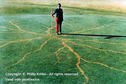 「在戶外頭髮豎起來時代表可能要被雷劈到」這時如何自救？ - GetIt01