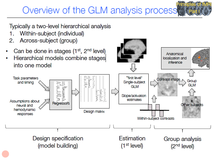 【fMRI Note】Module 16 一般线性模型在fMRI上的应用 - 知乎