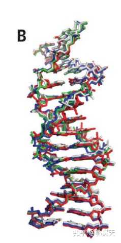 如何解读 2019年2月22日《科学》发表的合成生物学新突破「八碱基遗传系统Hachimoji」？ - 知乎
