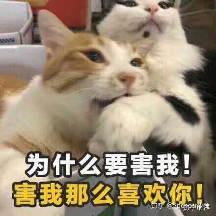 你见过最暖心的表情包是什么？ - 知乎