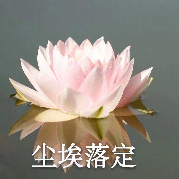 有哪些适合中年人用的头像 知乎