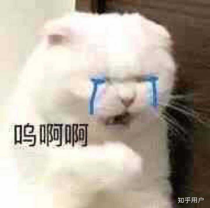 有没有大哭伤心的表情包？ 知乎