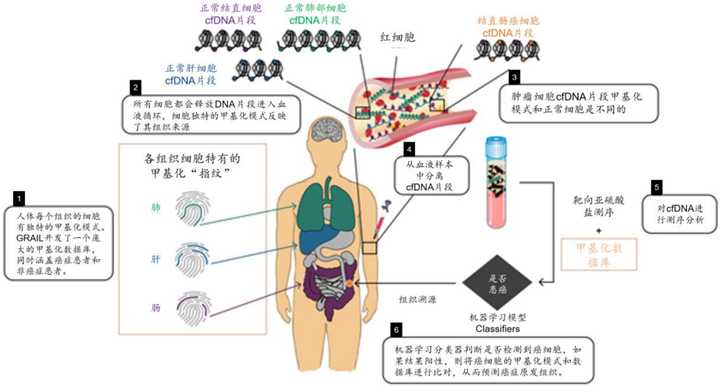cfDNA怎么测浓度呢? - 知乎