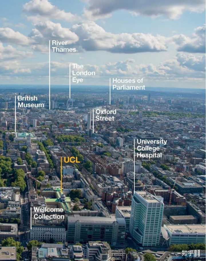 英国UCL大学有哪些王牌专业？ - 知乎
