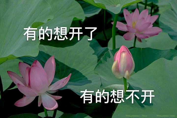 有哪些适合中年人用的头像 知乎