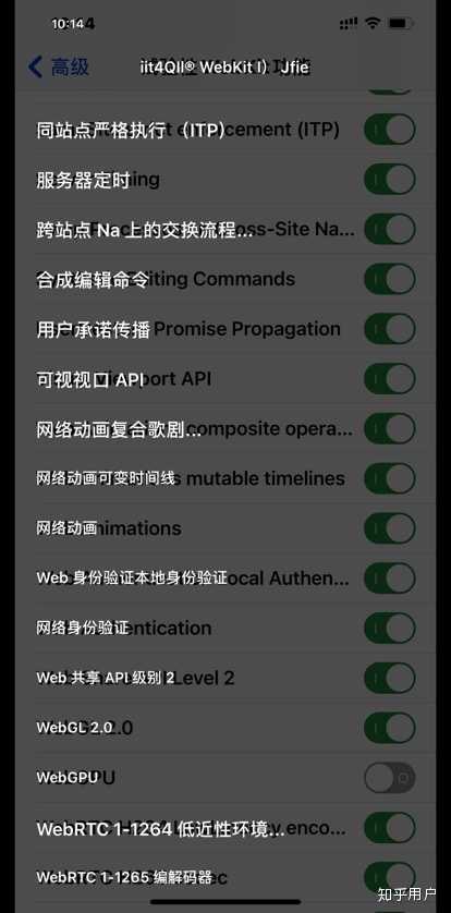 safari webkit诸多试验性功能都是那些用？哪些打开比较好? - 知乎