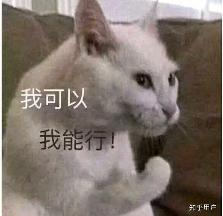有什么特别可爱猫猫的动态图或表情包吗？ - 知乎