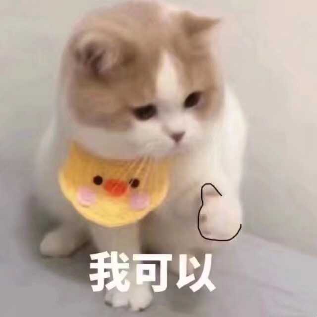 有什么适合期末考试的表情包吗？ - 知乎