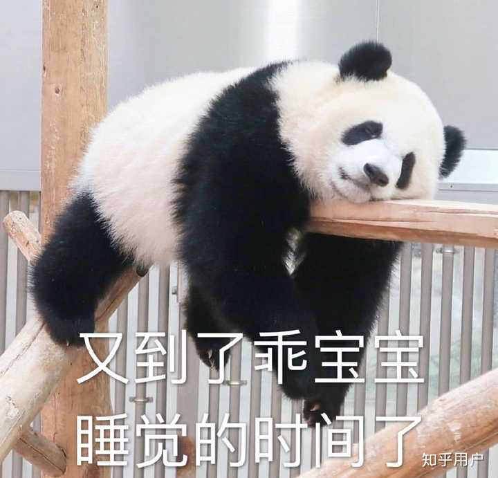 晚安是表情包好还是文字好? 知乎