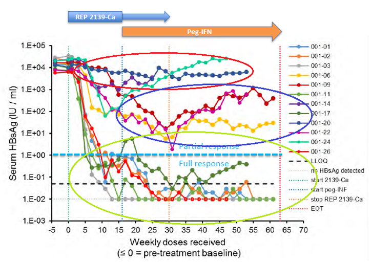 慢乙肝治疗新动向：REP 2139-Ca - 知乎