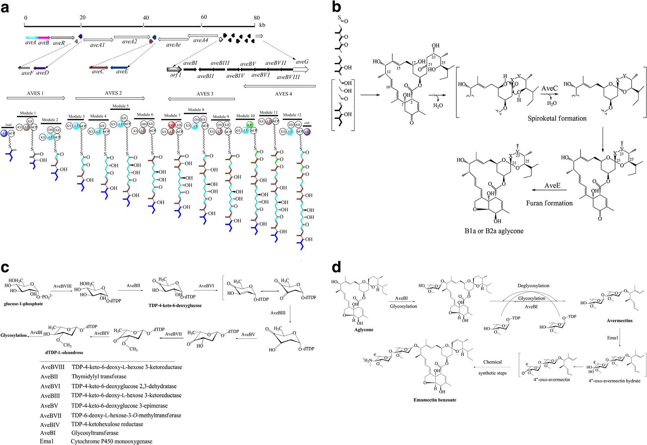 2015年诺贝尔生理学奖的主角之一-阿维菌素（Avermectin）的介绍 - 知乎