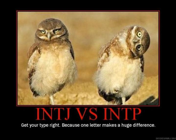 INTP vs INTJ——如何在INT中识别J和P - 知乎