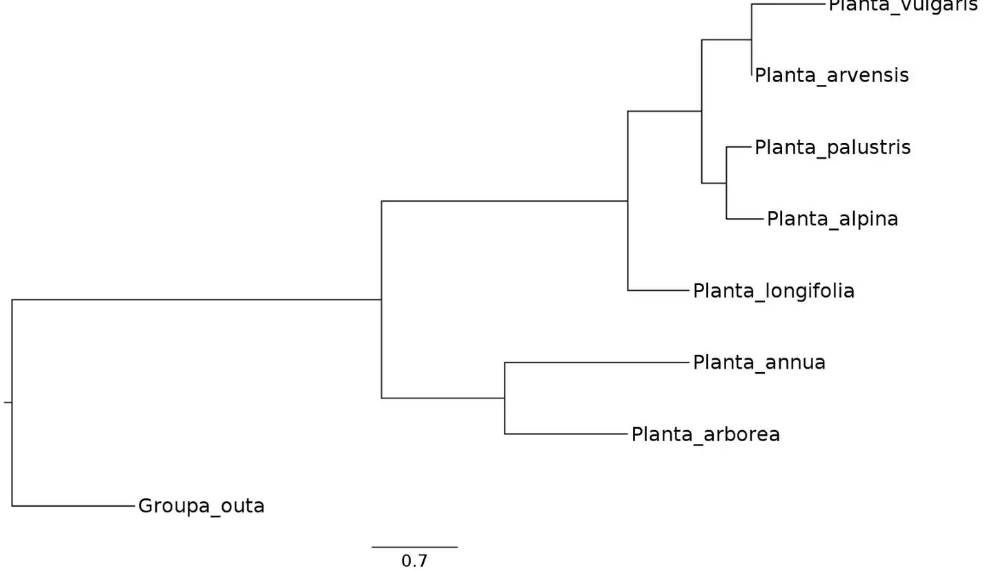 Phylogenetic Tree Branch Length