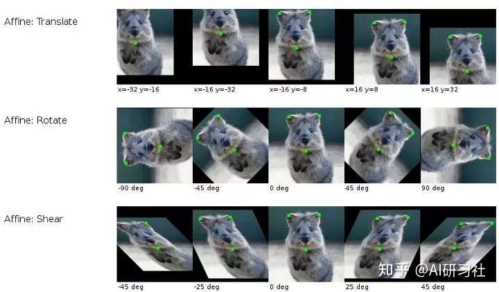 如何使用 Google 的 AutoAugment 改进图像分类器-CSDN博客