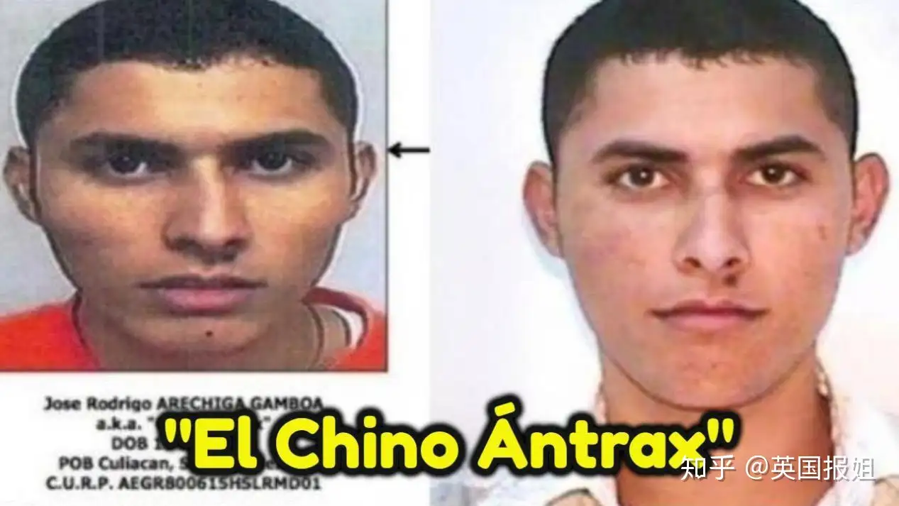 Rodrigo Arechiga Gamboa