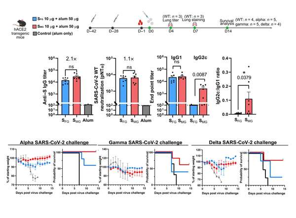 二手的科学家 的想法: STM的#新研究表明# ，对新冠S蛋白表面的… - 知乎