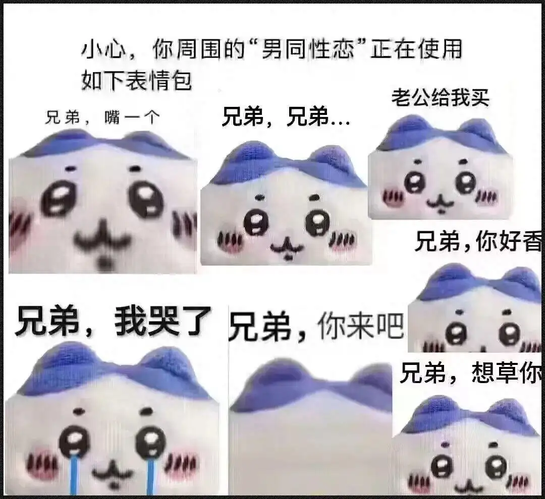 不要叫我兄弟 卡特 Kater