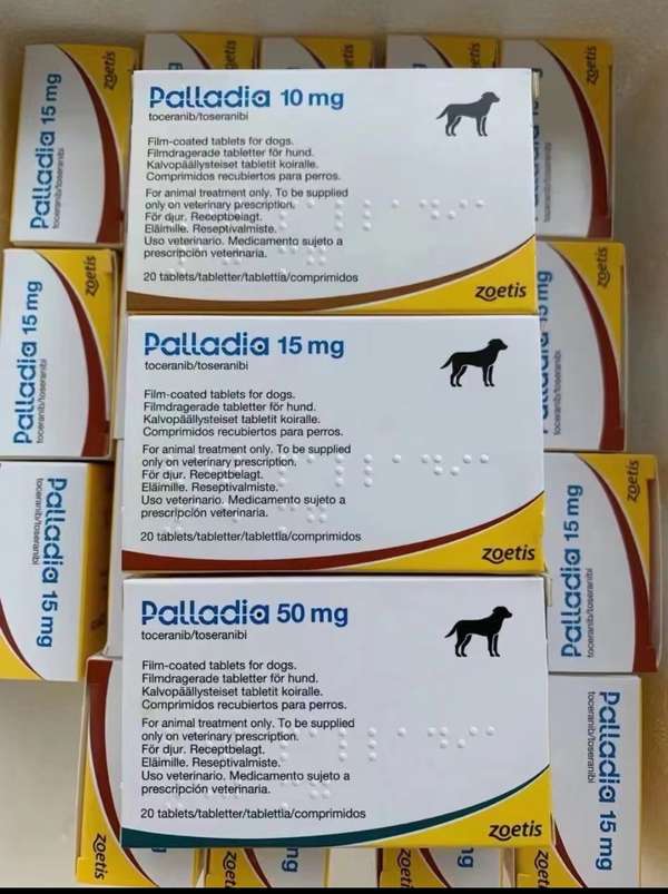 江湖猫医 的想法: 全球首款宠物癌症肿瘤靶向药帕拉丁 | 世… - 知乎