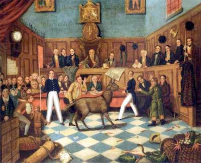 皇家防止虐待动物协会（RSPCA）：一百九十岁的动物卫士 - 知乎