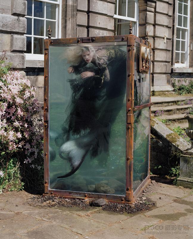 如何评价 Tim Walker 的摄影作品？ - 知乎