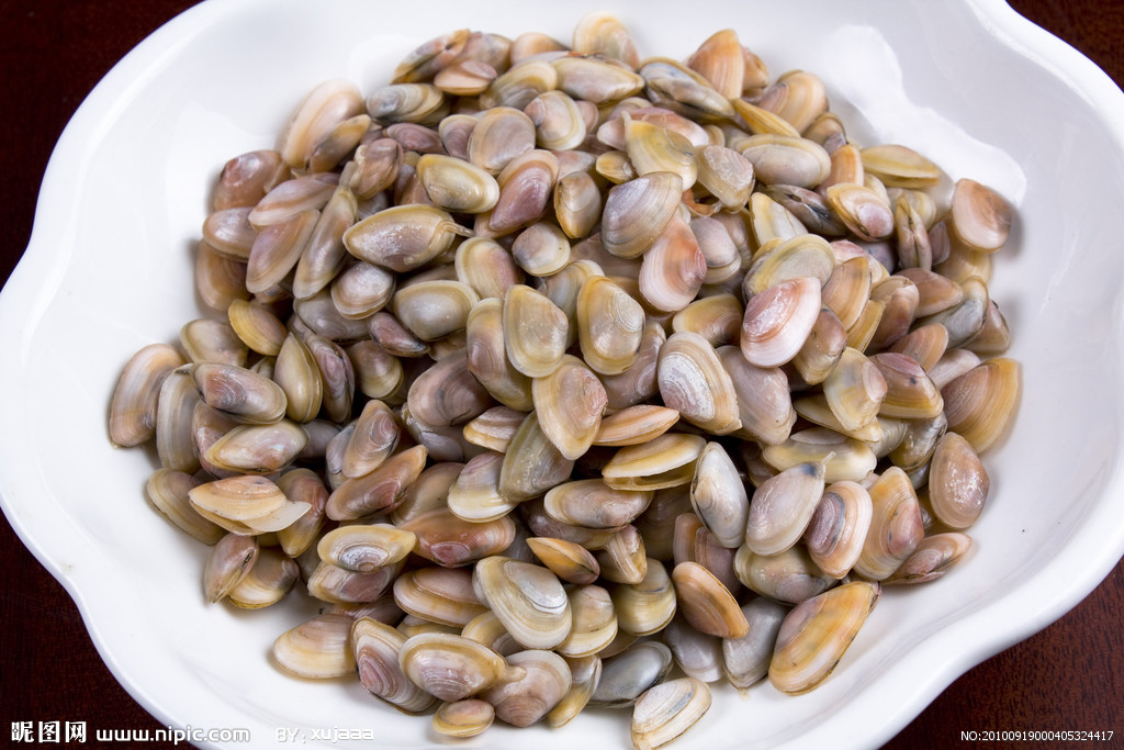 花蛤、蛏子、蚬子、蚶子、蛤蜊、海瓜子、贝壳都有什么区别？ - 知乎