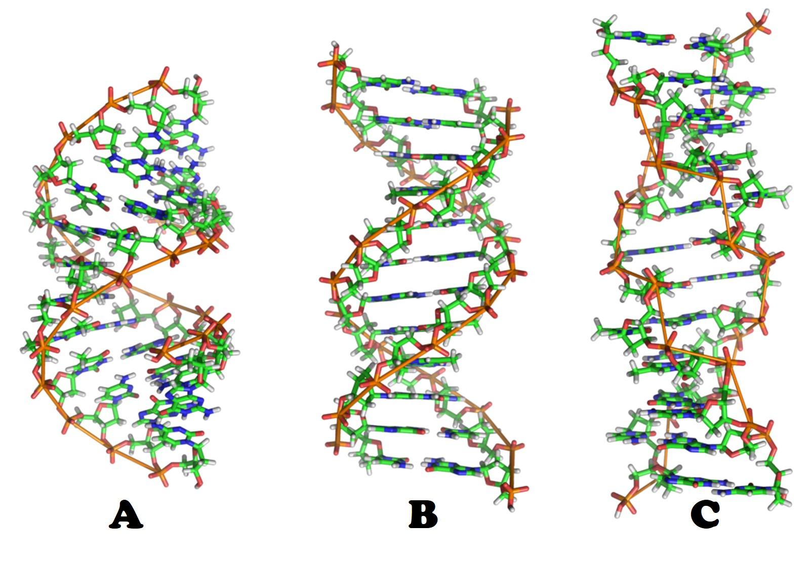 The legacy of the double helix - 知乎