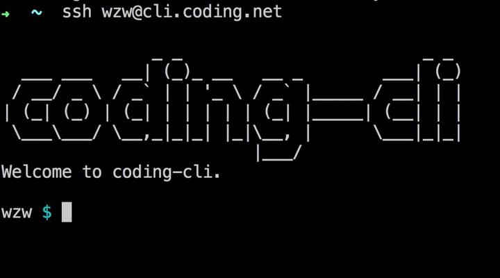 Coding 推行命令行界面取代网页界面 - 知乎