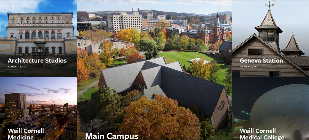 院校资讯丨美国Cornell院校专业全解析Part1 - 知乎