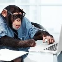 More than a Regression Monkey - 知乎