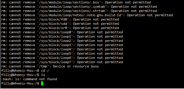 在现代的Unix操作系统上执行sudo rm -rf /会发生什么？ - 知乎