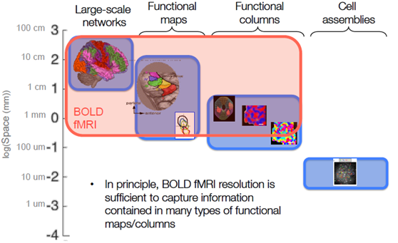 【fmri Note】module10 1 Spatial And Temporal Resolution Of Bold Fmri