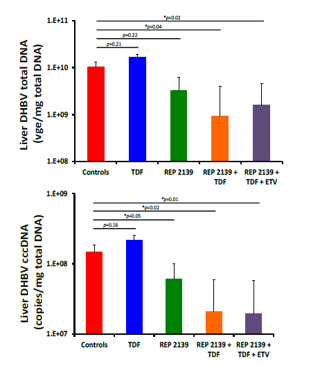 慢乙肝治疗新动向：REP 2139-Ca - 知乎