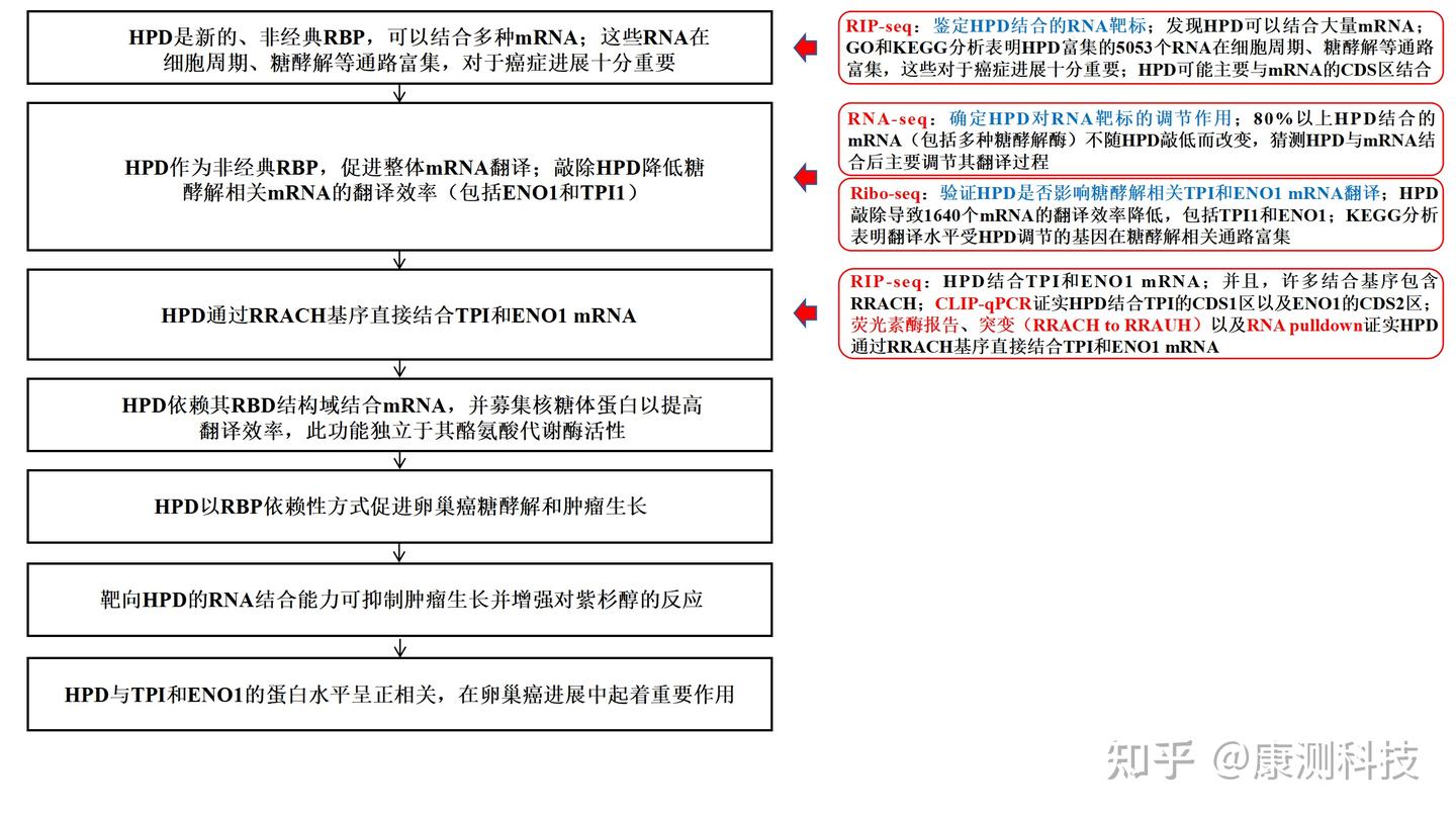 Adv. Sci.代谢酶非经典功能新发现！酪氨酸代谢酶HPD作为RNA结合蛋白，调节卵巢癌糖酵解通量、肿瘤生长和耐药 - 知乎