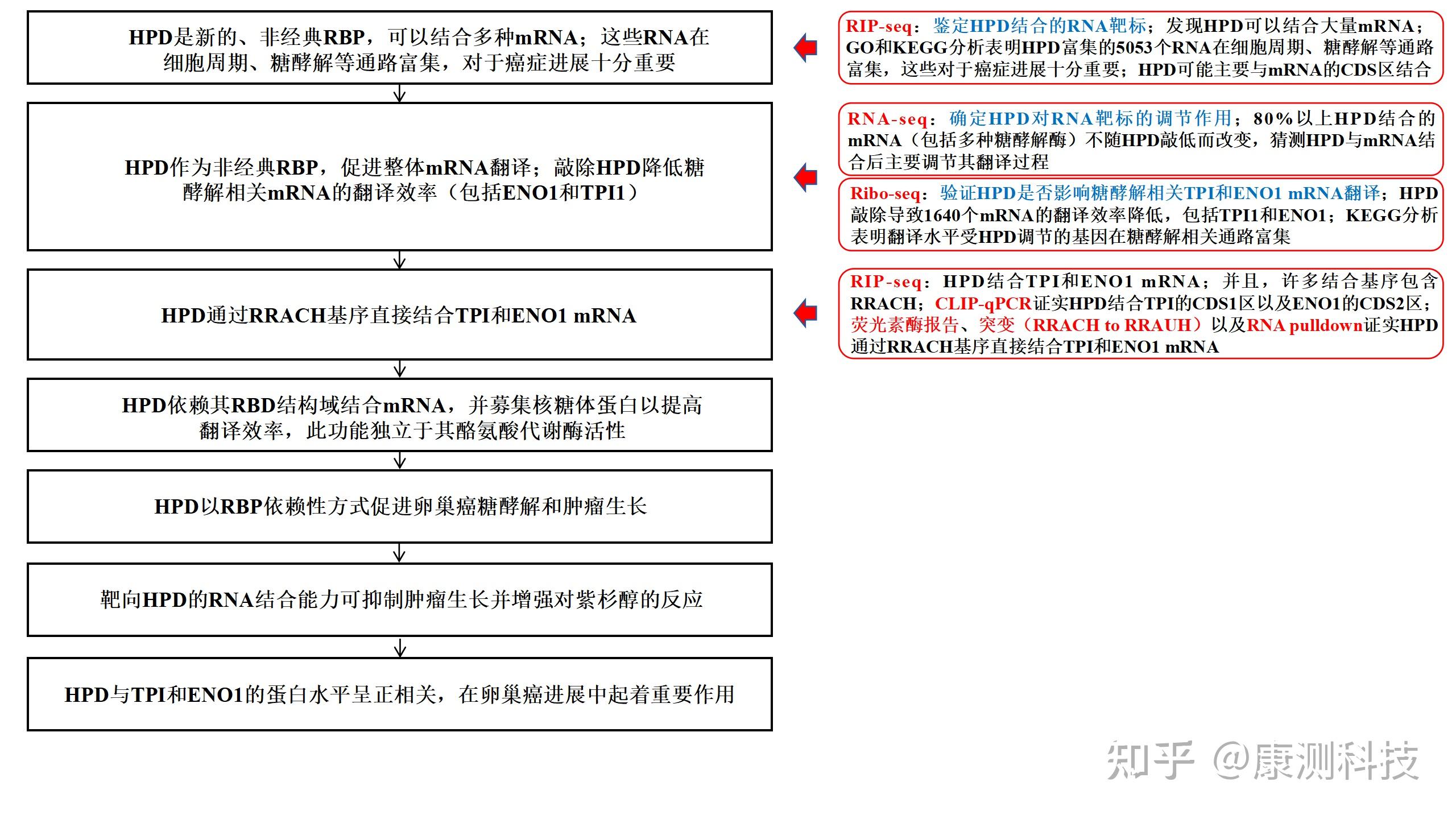 Adv. Sci.代谢酶非经典功能新发现！酪氨酸代谢酶HPD作为RNA结合蛋白，调节卵巢癌糖酵解通量、肿瘤生长和耐药 - 知乎