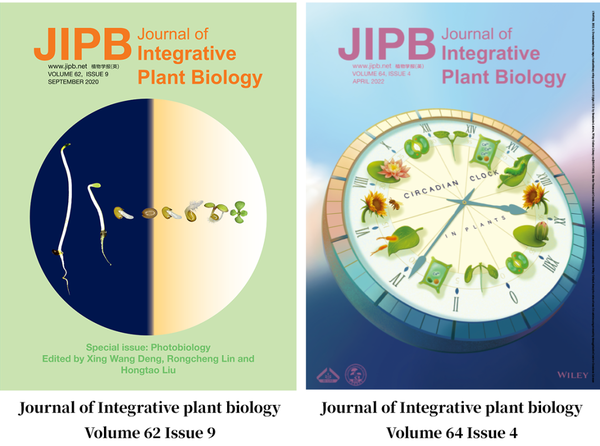 速！带你走进期刊封面的科学与艺术之美！ - 知乎