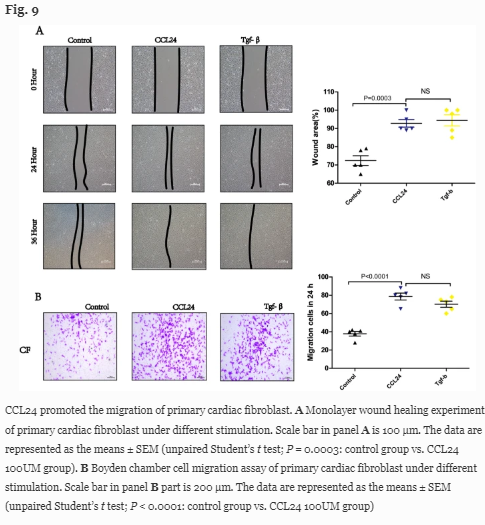 CCL24/CCR3轴通过刺激M2型巨噬细胞极化和成纤维细胞活化在Ang II诱导的心力衰竭中发挥核心作用 - 知乎