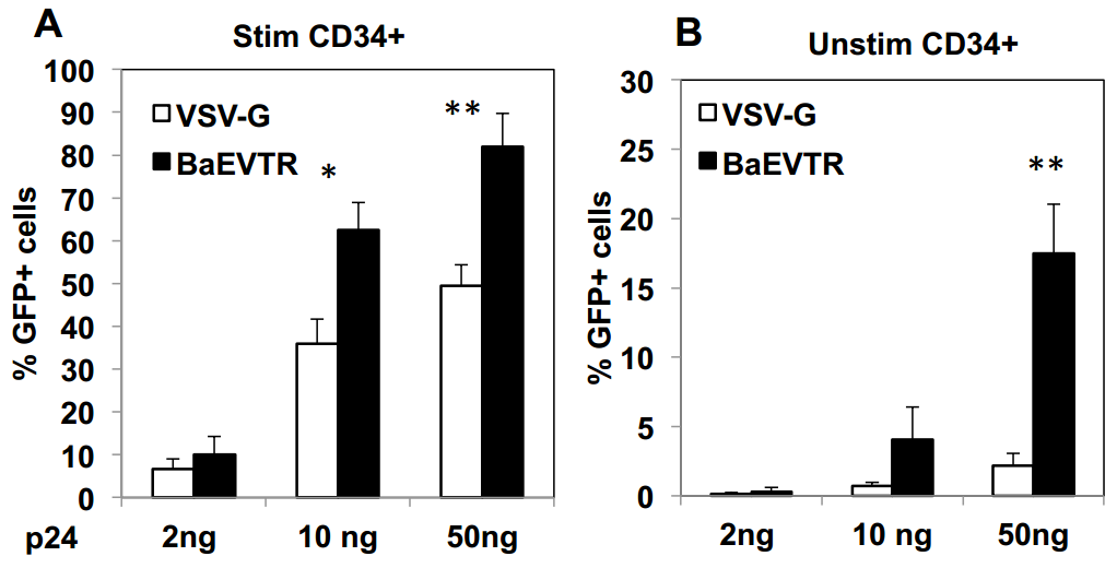 【新品推荐】狒狒内源性逆转录病毒包膜糖蛋白假型慢病毒（BaEV-LVs）——实现低剂量、低细胞因子依赖及高静止期细胞转导 - 知乎