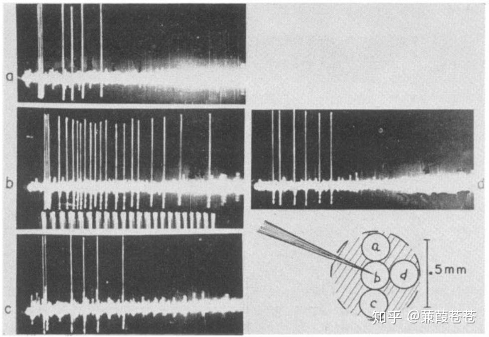 视神经细胞的卷积网络 - 知乎