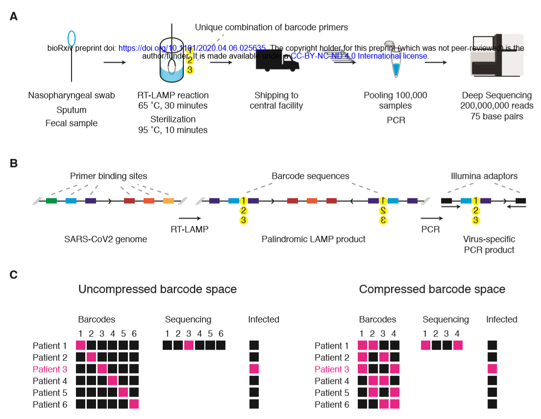 等温扩增专题（下）：技术应用大盘点 - 知乎
